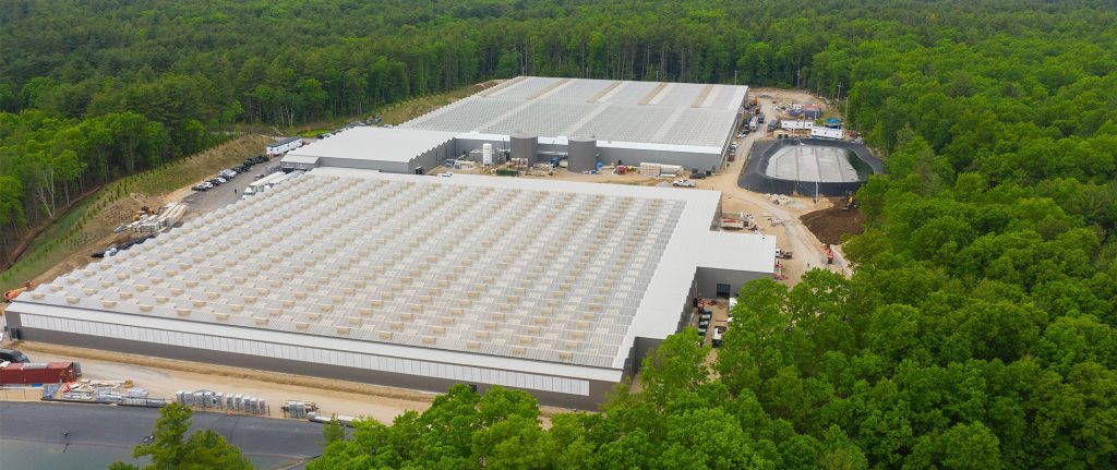 Local Lettuce - Little Leaf Farms