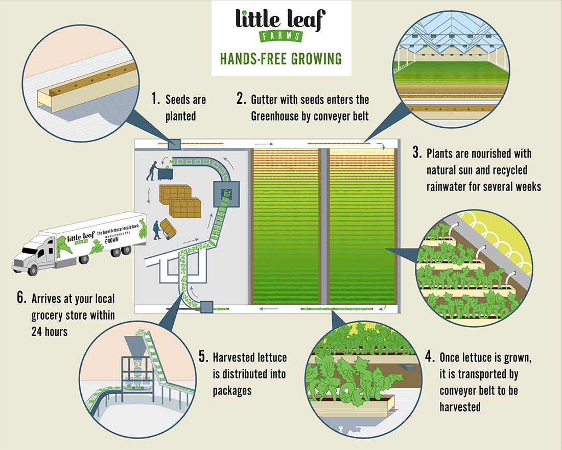 The Greenhouse - Little Leaf Farms | Devens, Massachusetts