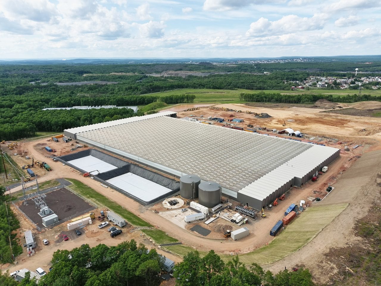 Our Vision: 100 Acres of Leafy Greens Under Glass by 2026 - Little Leaf ...