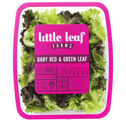 Local Lettuce - Little Leaf Farms