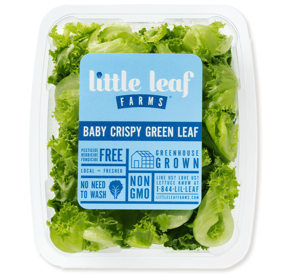 Local Lettuce - Little Leaf Farms - New England's Best Tasting Greens!