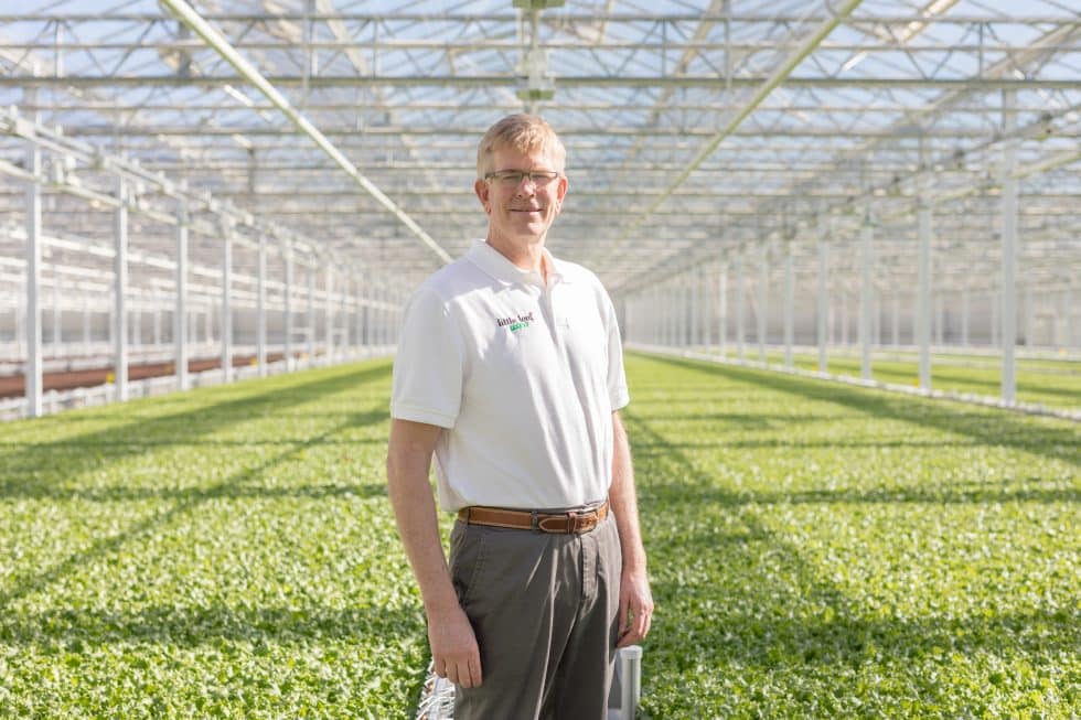Interview with CEO Paul Sellew on The Packer - Little Leaf Farms