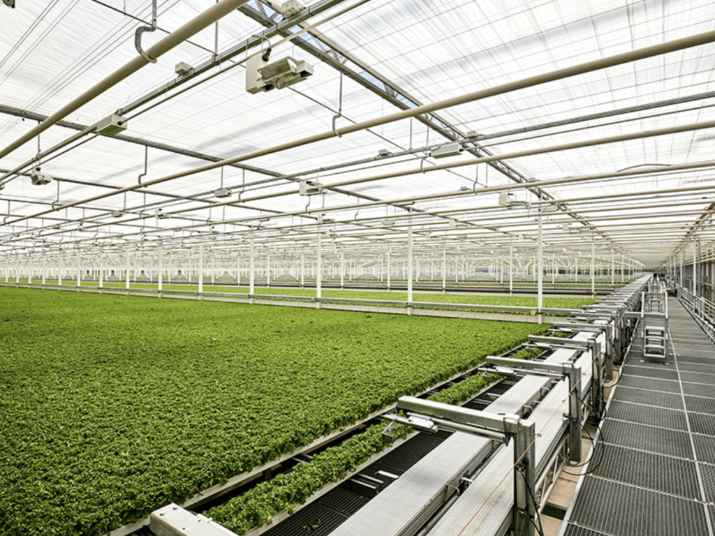 Investors to CEA: The time for profitability is now (The Packer ...