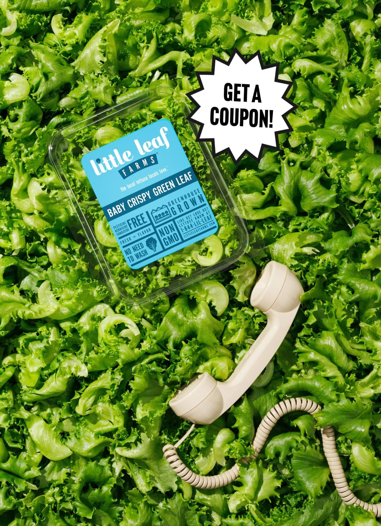 Little Leaf Farms - Welcome to Greater Greens